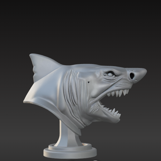 STL file Fierce Angry Shark 3D Bust – Intense Shark Head Model for 3D ...