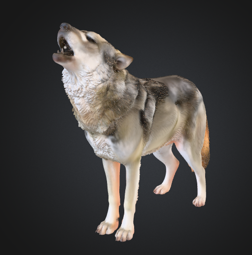 🐺 Wolf Howling・ 3D File for 3D printing・Cults