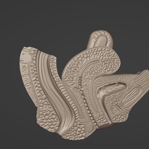 ♀️ Female pelvis anatomy STL print model・ STL File for 3D printing・Cults