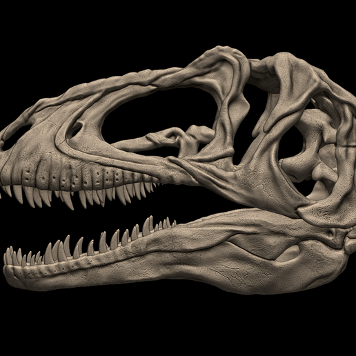 acrocanthosaurus complete skeleton