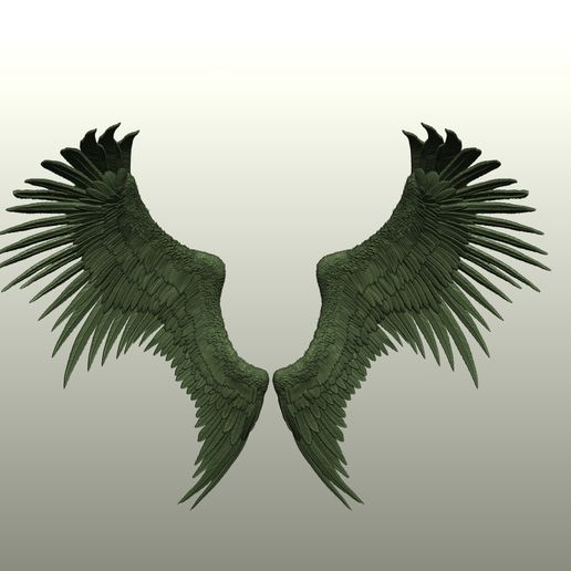 🪶 Wing Model 01・ STL File for 3D printing・Cults