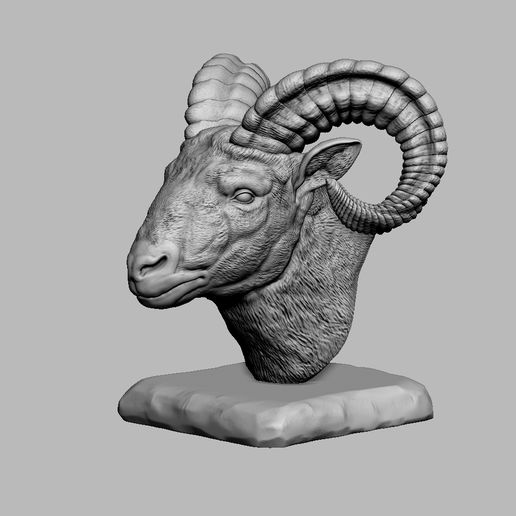 STL file Ram head bust, Animal head, Animal bust, Goat bust, Goat head ...