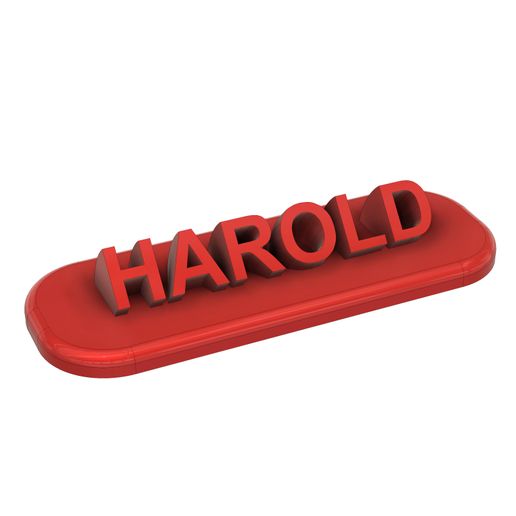 🎁 Harold-Name tag・ STL File for ・Cults