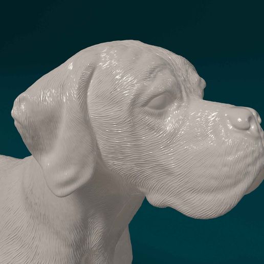 🐕 Portuguese Pointer・ STL File for 3D printing・Cults