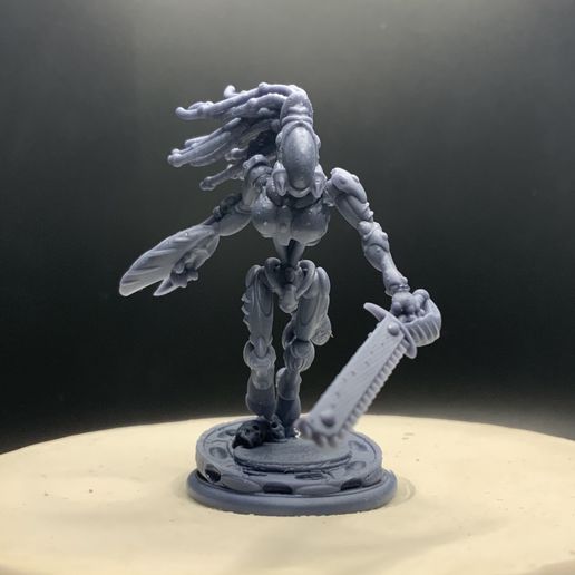 🧝 Void elf mantis warriors・ 3D File for ・Cults