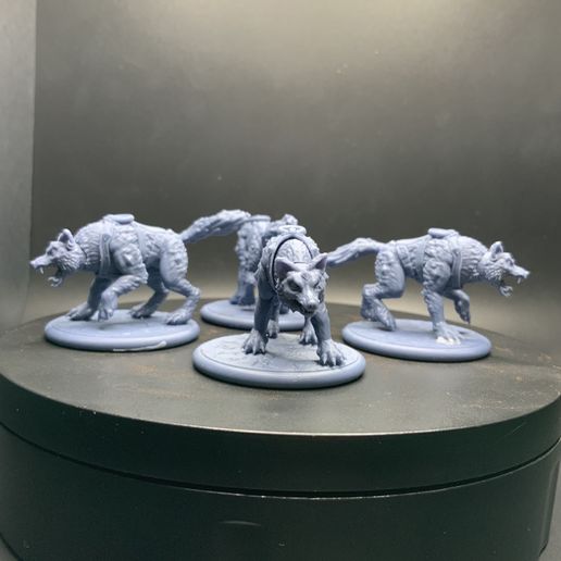 🛰 Chapter knights Viking wolves・ 3D File for ・Cults