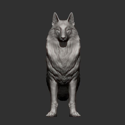 🐕 Belgian Sheepdog 3D print model・ STL File for 3D printing・Cults