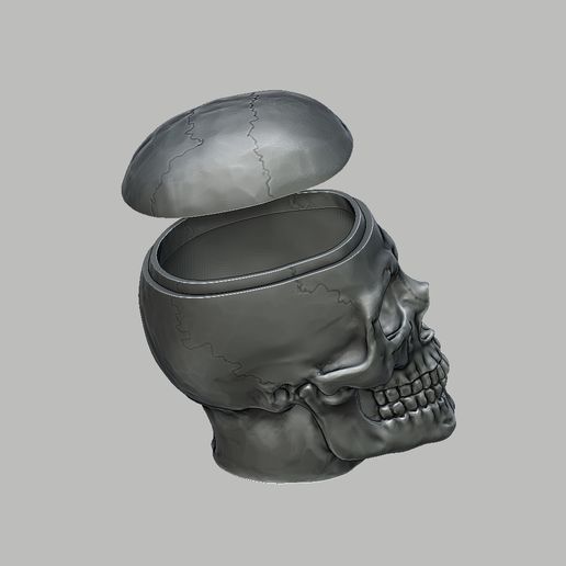 💀 skull container, skull head container,human skull, container, Perfect ...