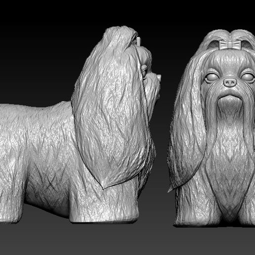 🐕 Maltese dog model - 3D print・ 3D File for 3D printing・Cults