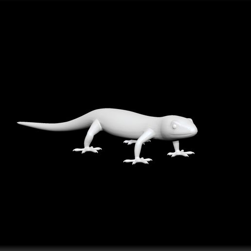 🦎 Lizard・ STL File for 3D printing・Cults