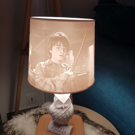 🔦 Harry Potter lamp ( hedwig )・ STL File for 3D printing・Cults