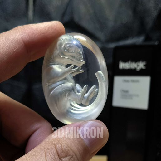 🥚 Clear Raptor Egg・ STL File for 3D printing・Cults