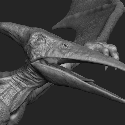 🎨 Pteranodon 3D print model・ STL File for 3D printing・Cults