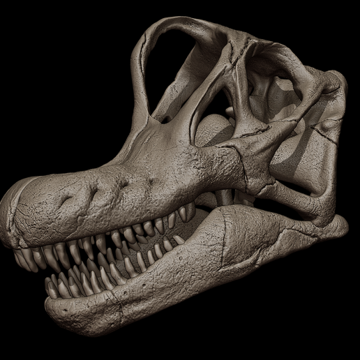 💀 Brachiosaurus Skull・ STL File for 3D printing・Cults
