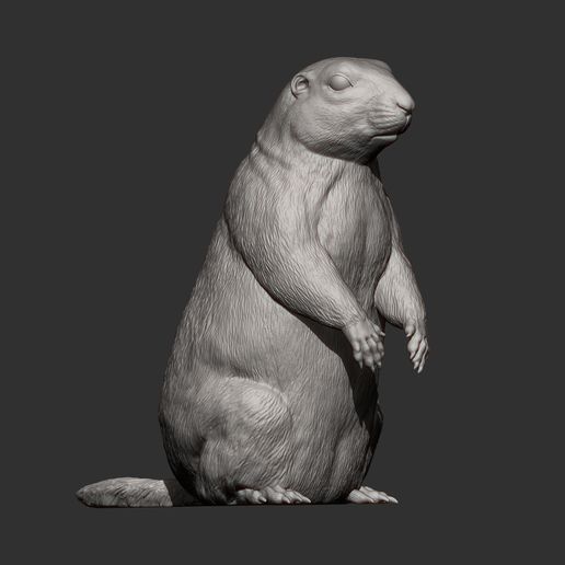 🐕 Prairie dog on its hind legs 3D print model・ STL File for 3D printing ...