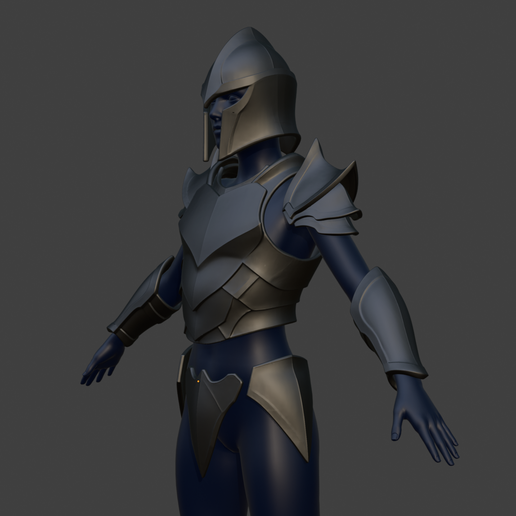 🏰 Shadow Castle Guard Armor Set・ STL File for 3D printing・Cults