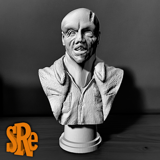 👤 Bust Jason Voorhees without mask・ STL File for 3D printing・Cults