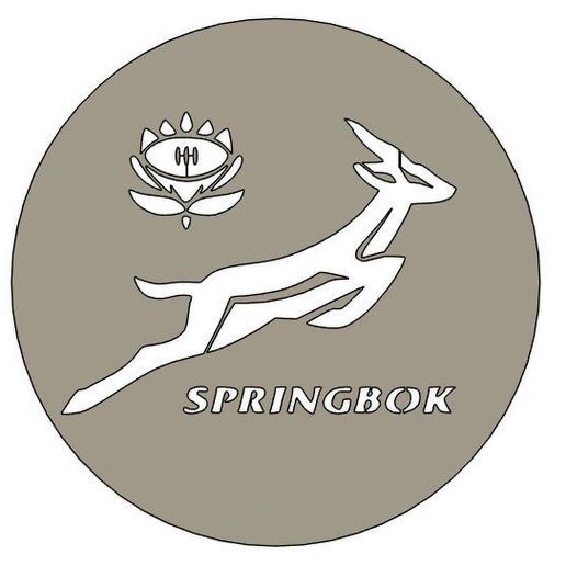 springbok logo vector