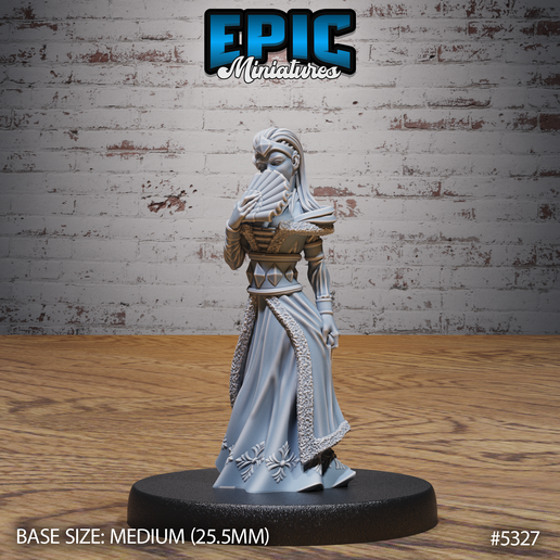 🎲 Noble Lady ‧ DnD Miniature ‧ Tabletop Miniatures ‧ Gaming Monster ...