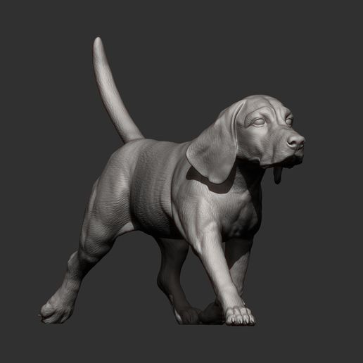 🐕 beagle runs・ STL File for 3D printing・Cults