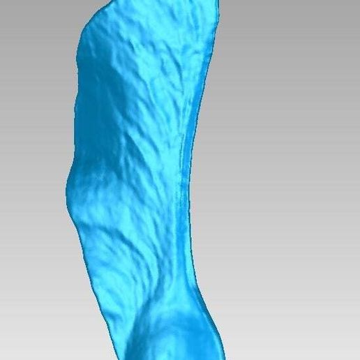 Free STL file Maple Seed 🍁 ・Object to download and to 3D print・Cults