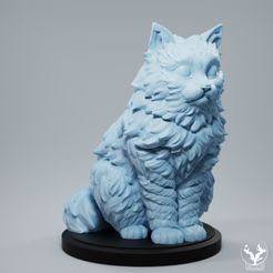 3d printer ideas for men