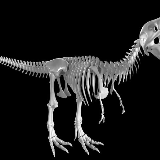 💀 Tyrannosaurus Rex Skeleton・ STL File for 3D printing・Cults