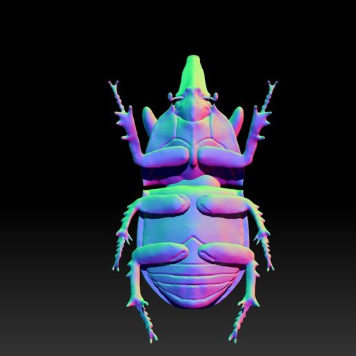 🐛 Bug Beetle・ STL File for ・Cults
