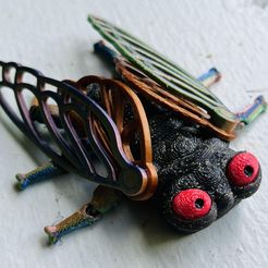 Cicada best STL files for 3D printing・58 free models to download・Cults