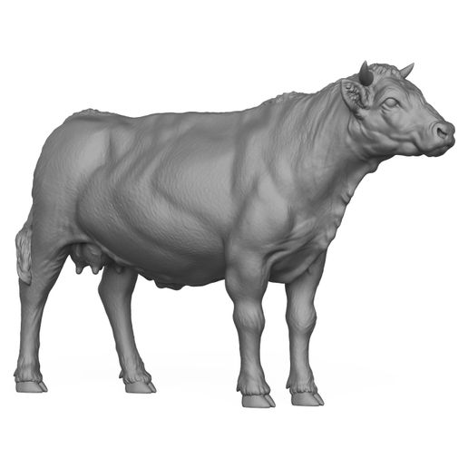 🐄 Young Cow 3D Print Model・ STL File for 3D printing・Cults