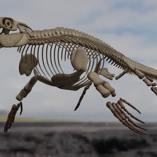 STL file Mosasaur Skeleton 💀 (OBJ)・Model to download and 3D print・Cults