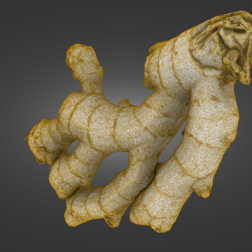 🖨️ Ginger Root — Laser-Scanned 3D Model (500k & 1.5M OBJ/STL) — Organic ...