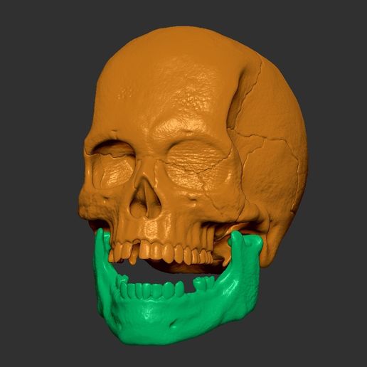 👁️ Goonies One Eye Willy Skull・ STL File for 3D printing・Cults