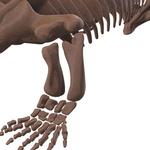 💀 Ichthyostega: Complete skeleton・ STL File for 3D printing・Cults