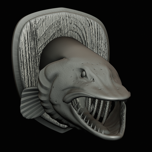 🐠 fish pike muskellunge muskie / Esox masquinongy head trophy open ...