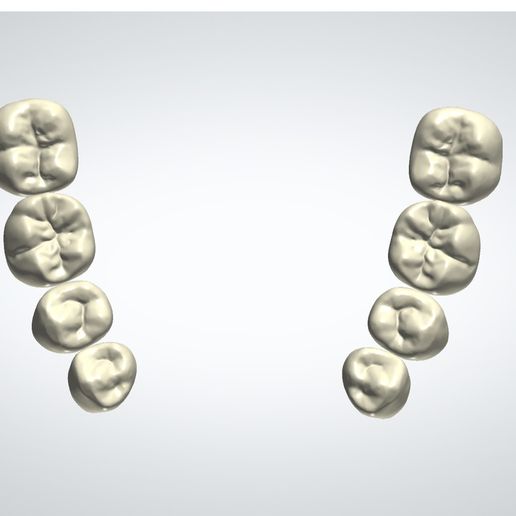 🦷 3Shape Library Molar_Natural_5・ STL File for 3D printing・Cults