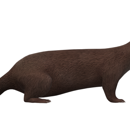 🇮🇶 Real Mink・Free STL File for ・Cults