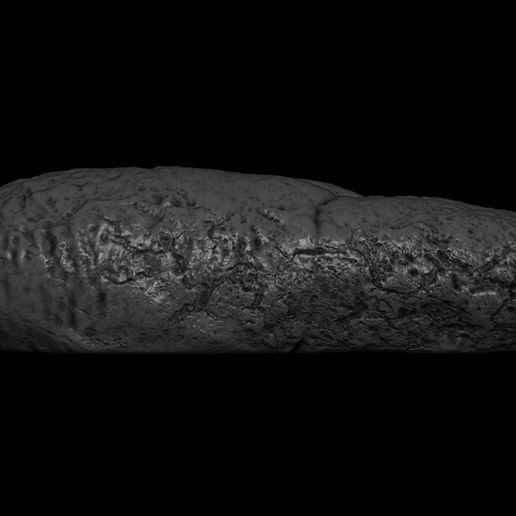 💩 3D PRINTABLE POOP PRANK TWO PACK・ STL File for 3D printing・Cults