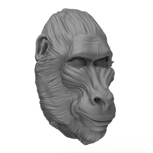 🦍 Mandrill Head Statue 3D Print Model・ STL File for 3D printing・Cults