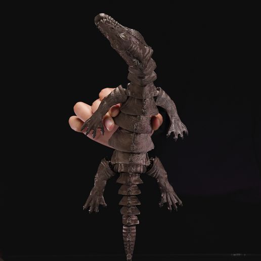 nothosaurus skeleton