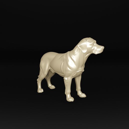 STL file Labrador Retriever 3D Printable Model – Detailed Dog STL for ...