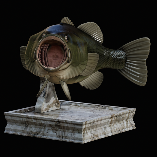 🐠 fish Largemouth Bass / Micropterus salmoides in motion trophy statue ...