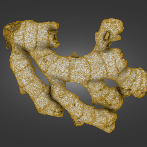 ginger root printing