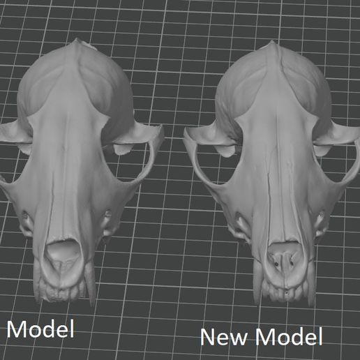 🦊 Fox skull 3D Scan・ STL File for 3D printing・Cults