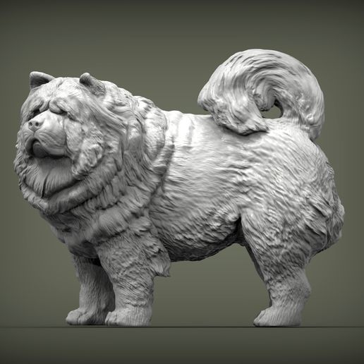 3D file Chow Chow 3D print model 🐕 ・Model to download and 3D print・Cults