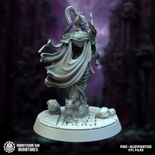 🎲 Agonathi, mistress of euphoric sream (hero mode)・ 3D File for 3D ...