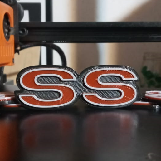 ss logo 3d