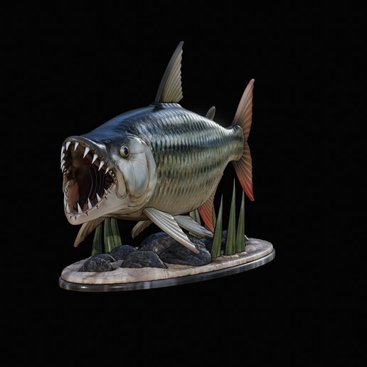 🐠 fish tigerfish / Hydrocynus goliath natural base detailed texture for ...