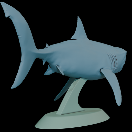 🦈 Megalodon 3D print model・ STL File for 3D printing・Cults