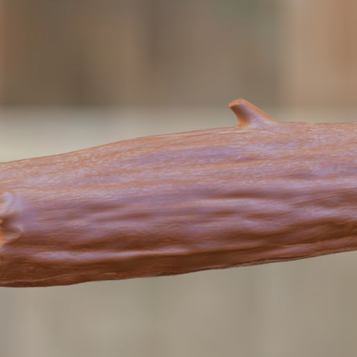 Free Stl File Fallen Log・3d Print Design To Download・cults